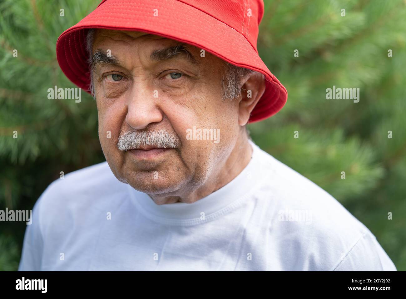 Male white age 70s hi-res stock photography and images - Alamy