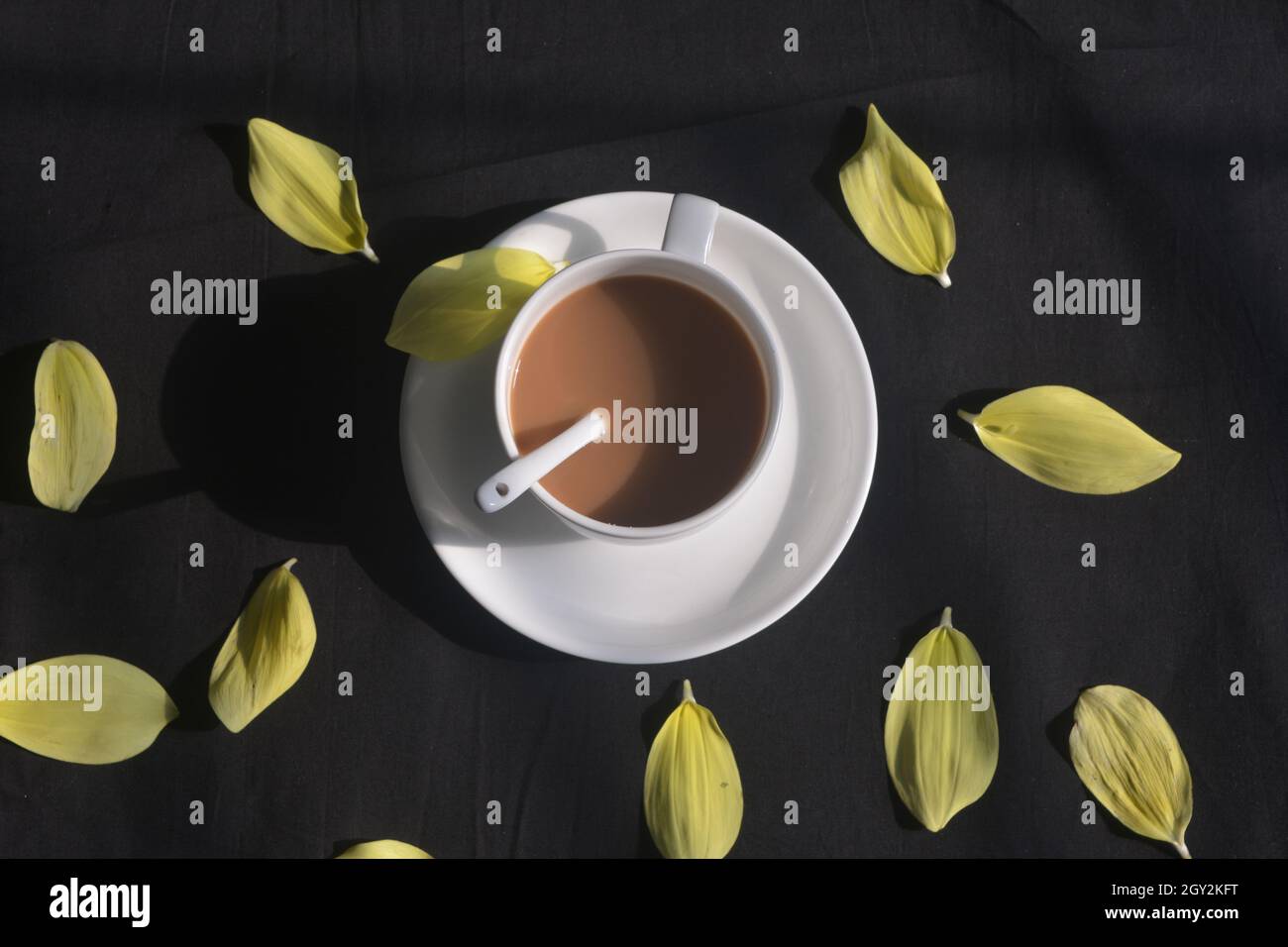 Tea photography style Stock Photo - Alamy