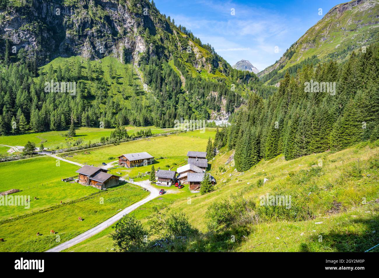 Idyllic farm house and green meadow pasture in alpine valley, Hohe ...