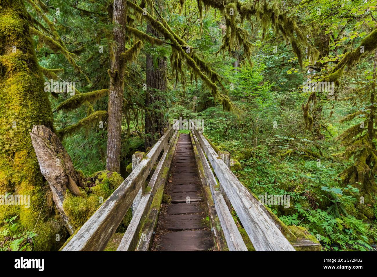Elk crossing bridge hi-res stock photography and images - Alamy