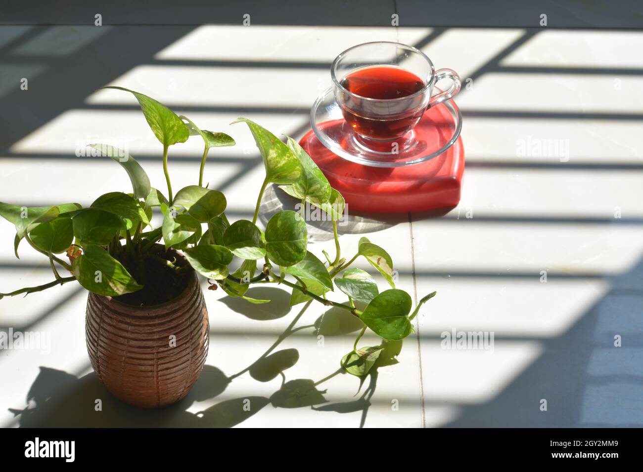 Tea photography style Stock Photo - Alamy