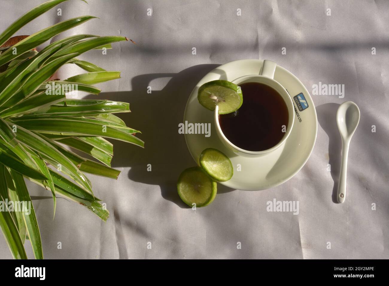 Tea photography exceptional tea hi-res stock photography and images - Alamy