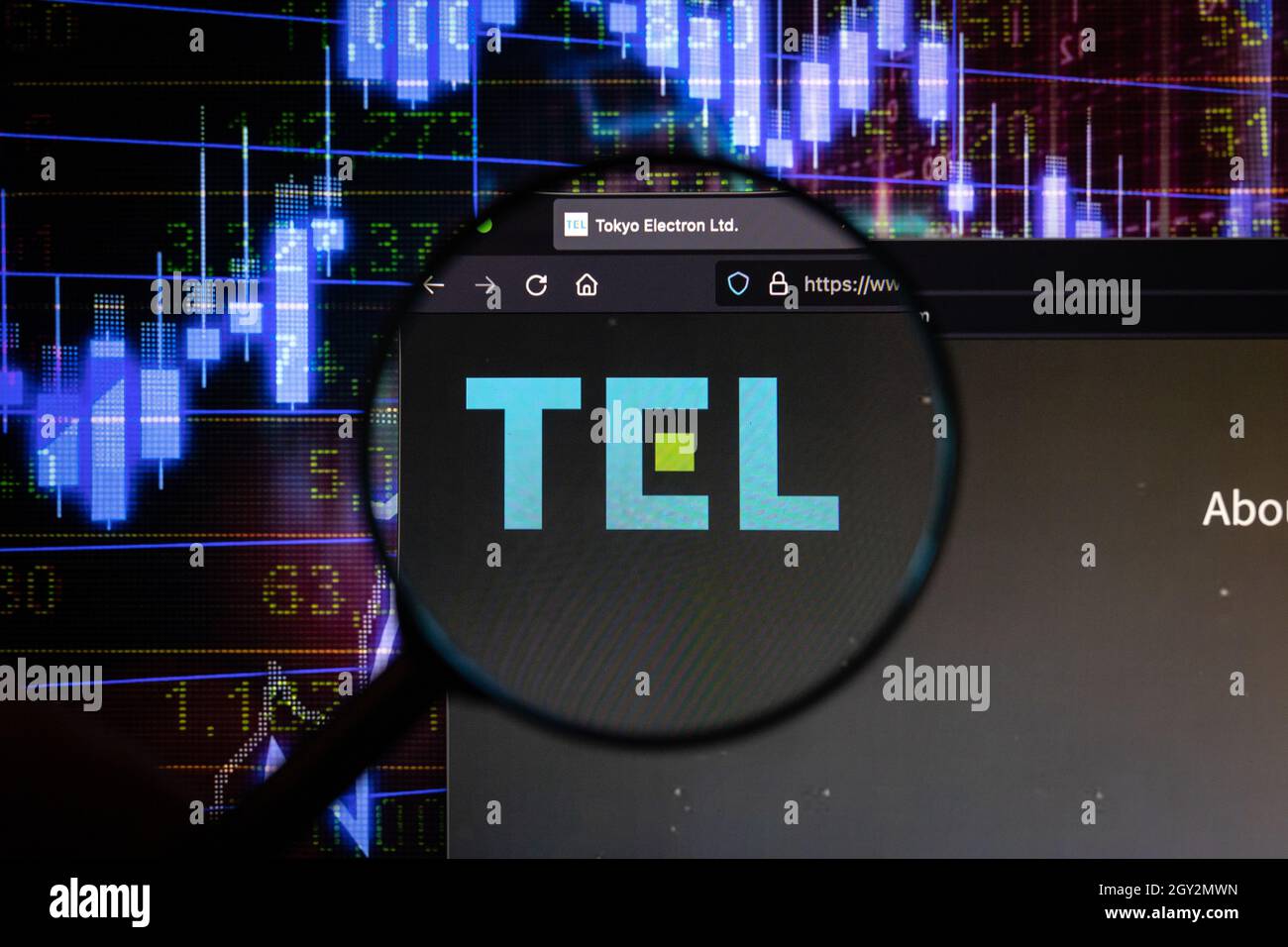 TEL company logo on a website with blurry stock market developments in ...