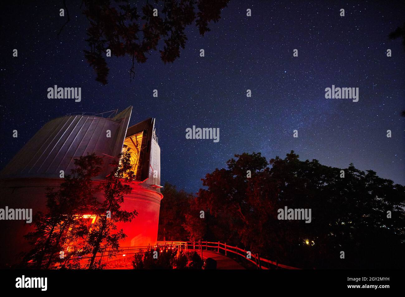 Starry night river park hi-res stock photography and images - Alamy