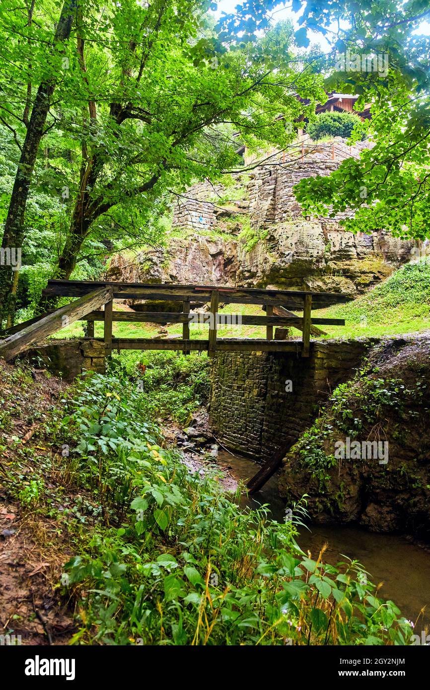 Bridge over cliff in forest hi-res stock photography and images - Alamy
