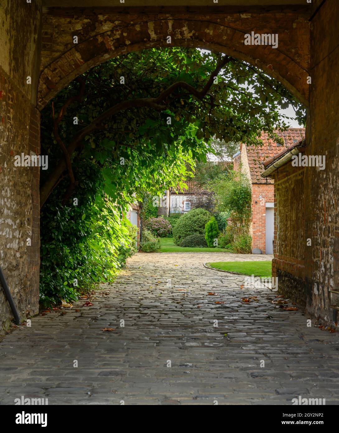 Traditional small garden uk autumn hi-res stock photography and images ...