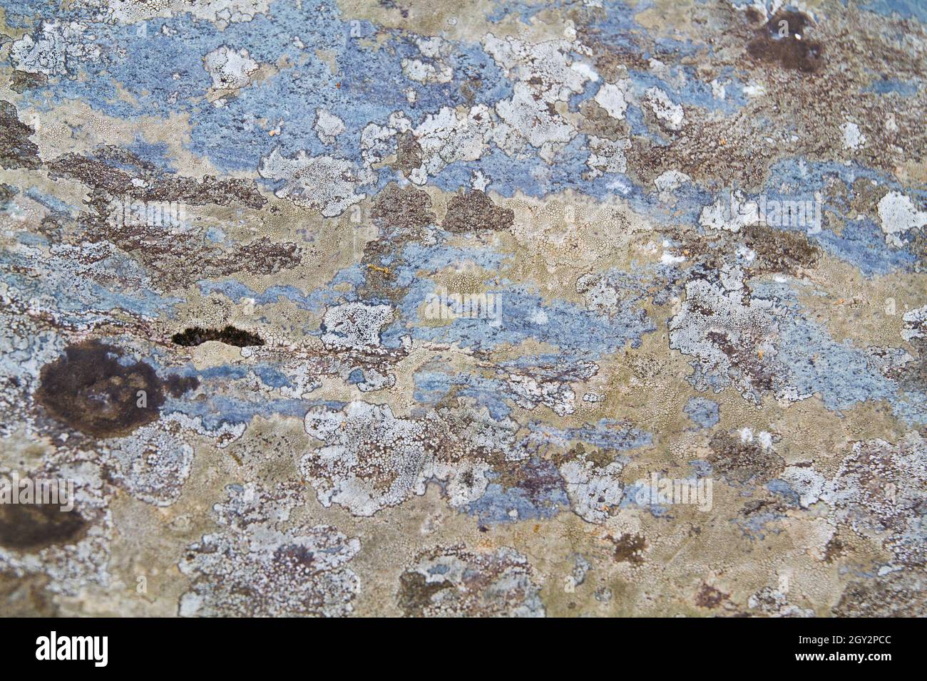 Tan gray and black stony walkway background with texture Stock Photo ...