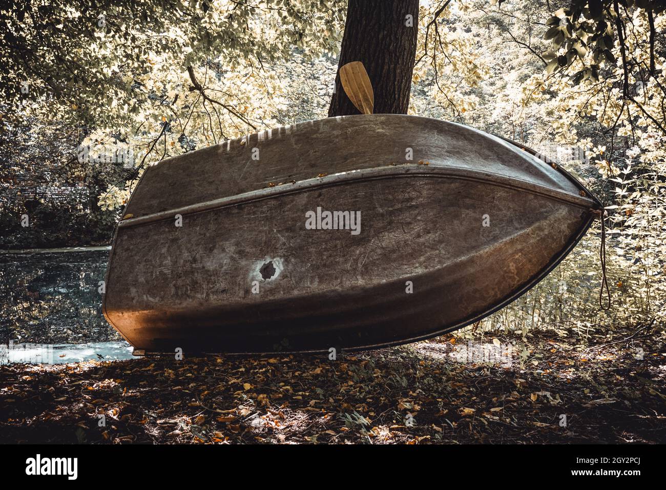Water plant overturned hi-res stock photography and images - Alamy