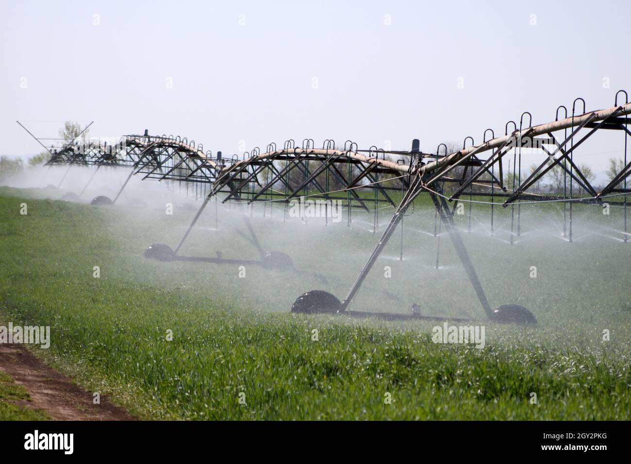 Irrigation spraying system in field Stock Photo - Alamy