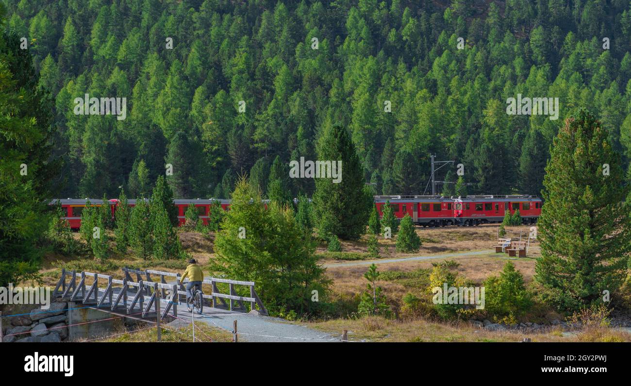 Bernina switzerland september 27th 2021: red train that connects ...