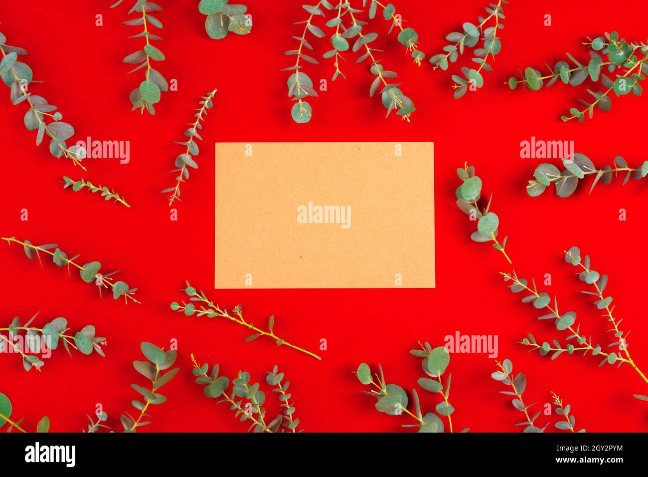 Christmas composition with empty sheet of paper in the center Stock ...