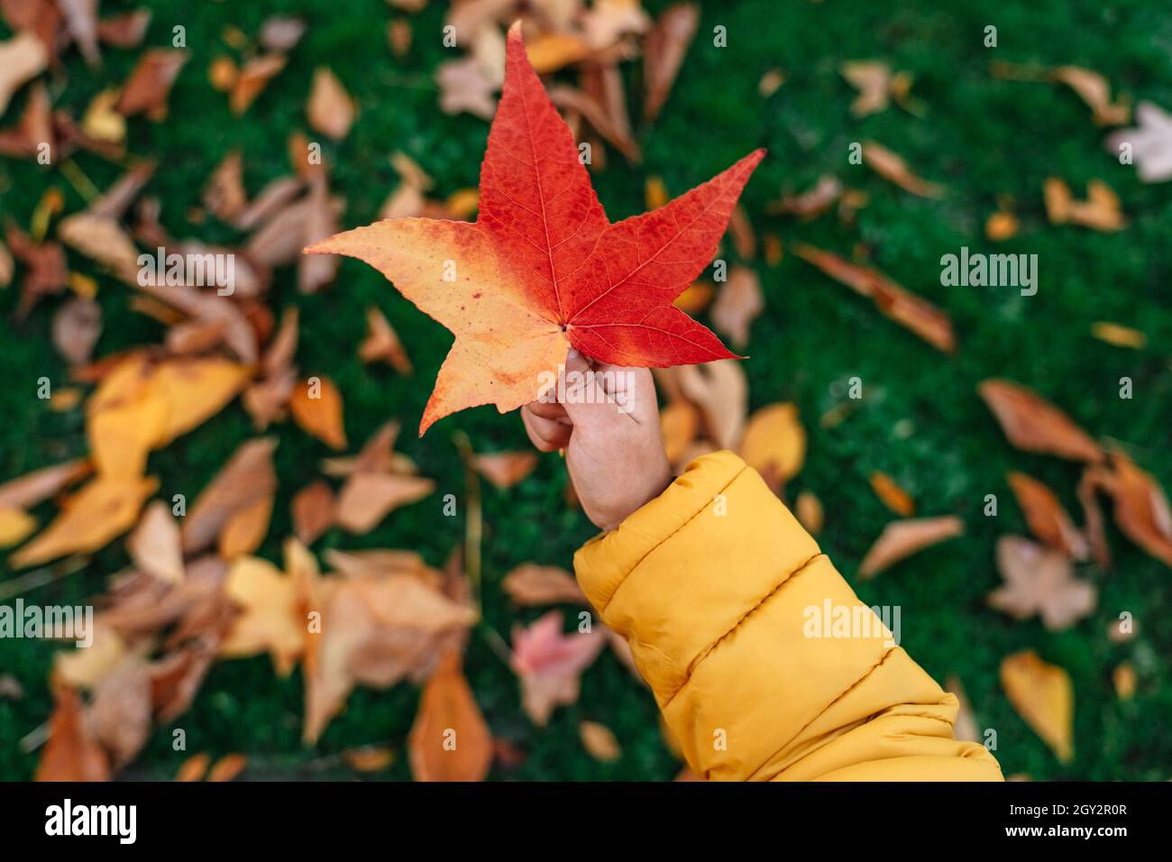 Child hands hi-res stock photography and images - Alamy