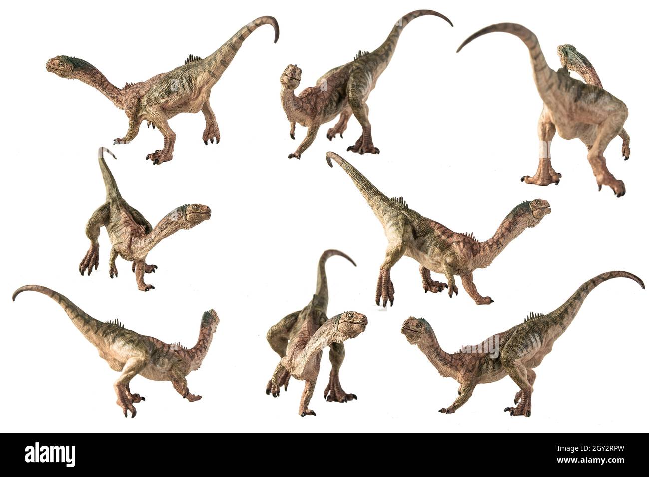 Chilesaurus Dinosaur on white background Stock Photo - Alamy