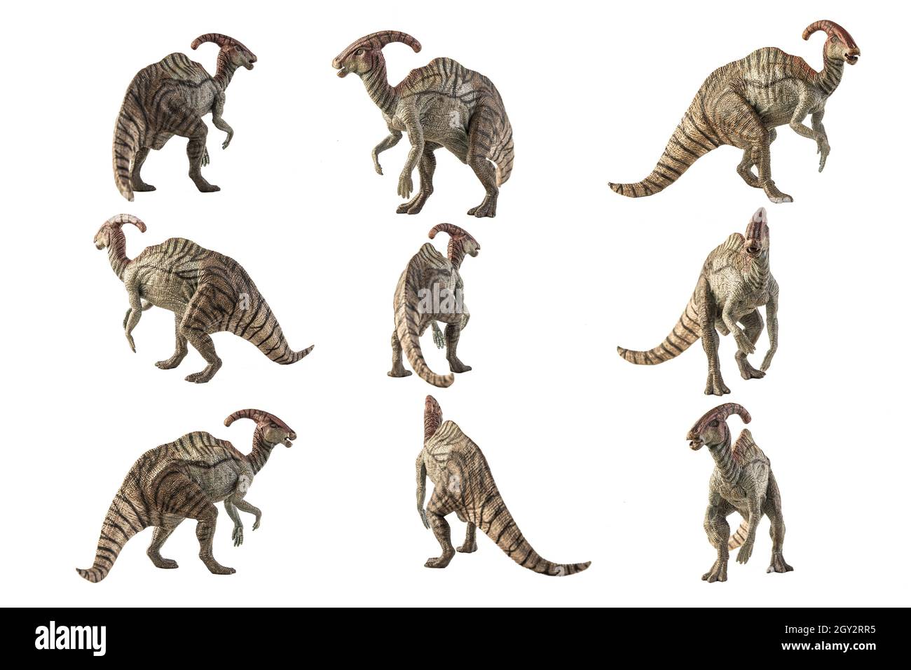 Parasaurolophus Dinosaur on white background Stock Photo - Alamy