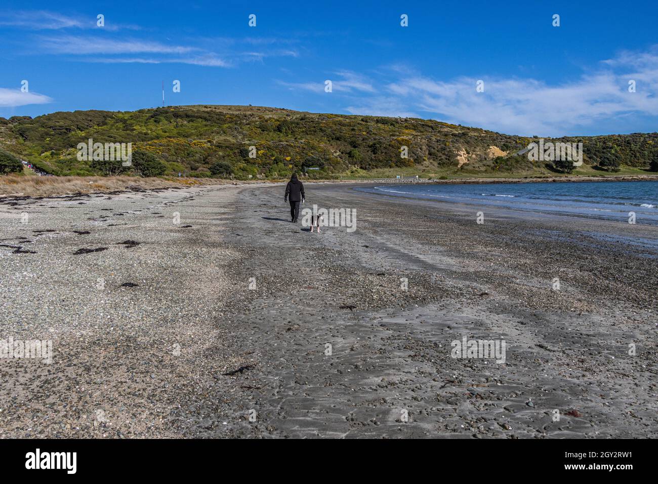Exercising during Level 2 Lock-down in New Zealand Stock Photo - Alamy