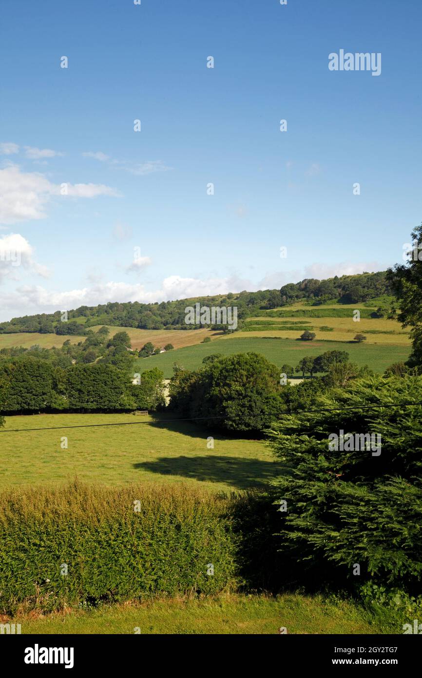 Cam long down, Uley, Dursley, walk, walks, walking, countryside ...