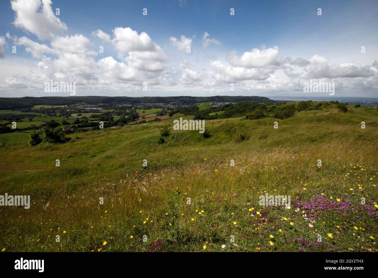 Cam long down, Uley, Dursley, walk, walks, walking, countryside ...