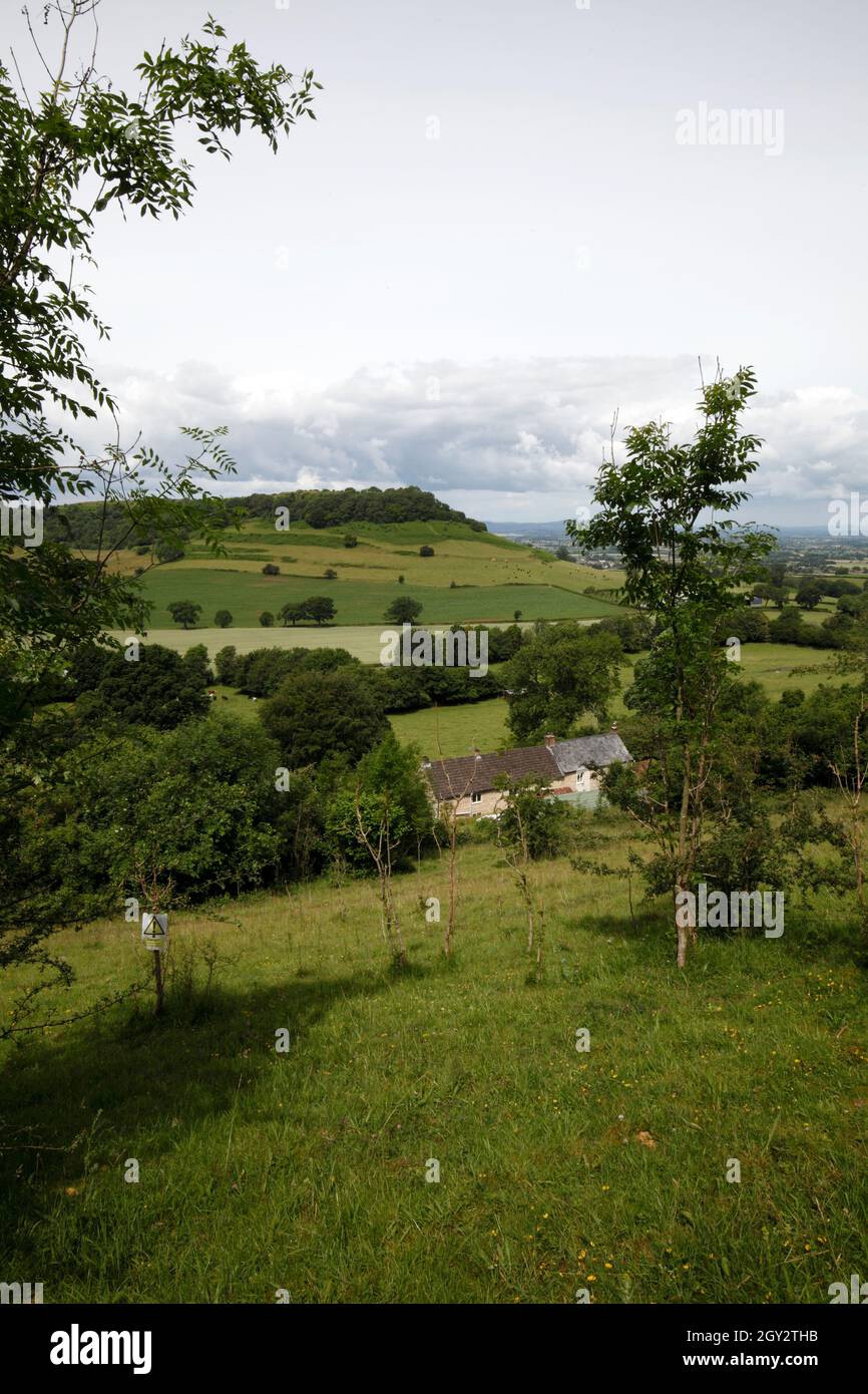 Cam long down, Uley, Dursley, walk, walks, walking, countryside ...