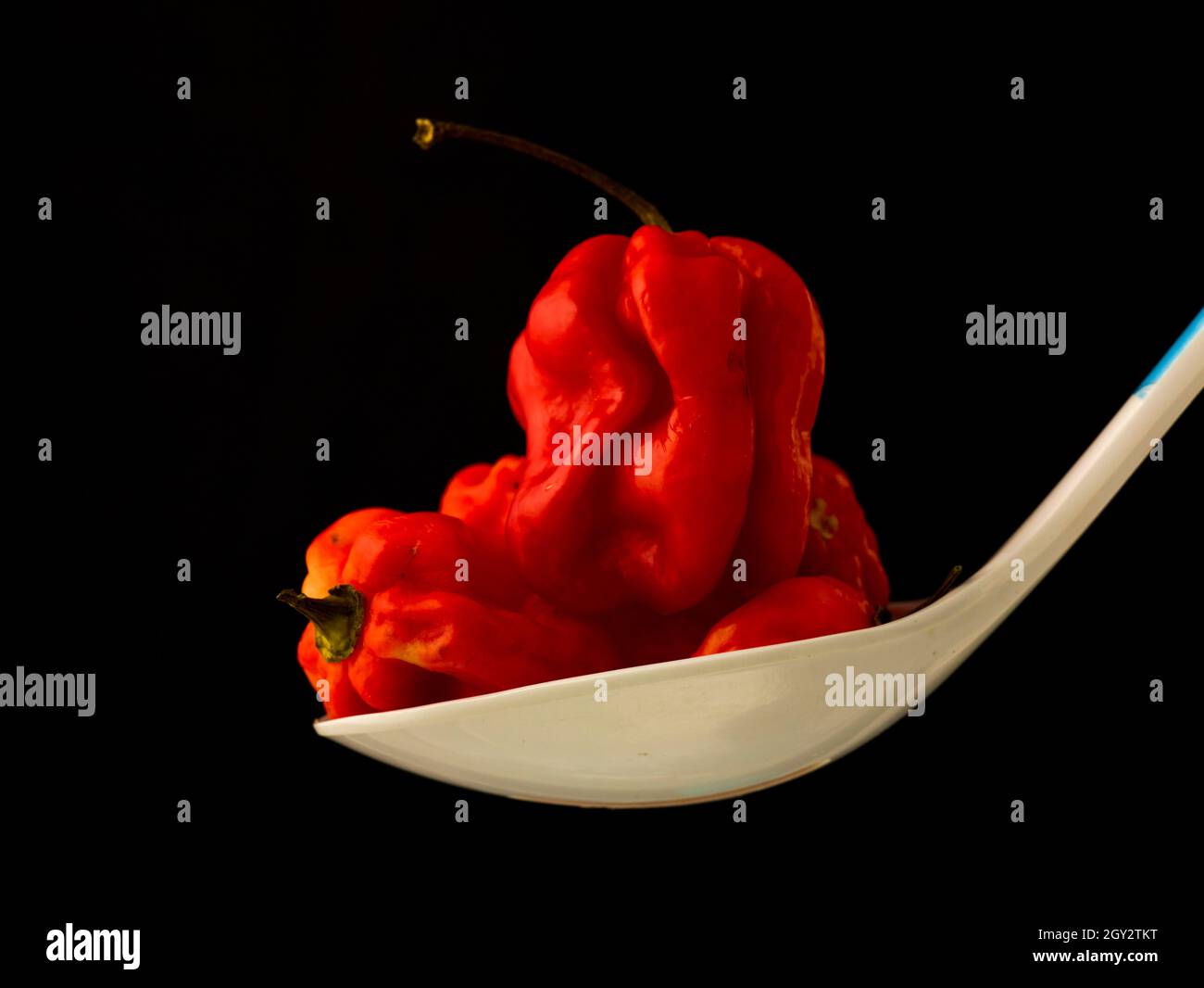 High resolution food ingredient still-life of Scotch Bonnet Peppers, on ...