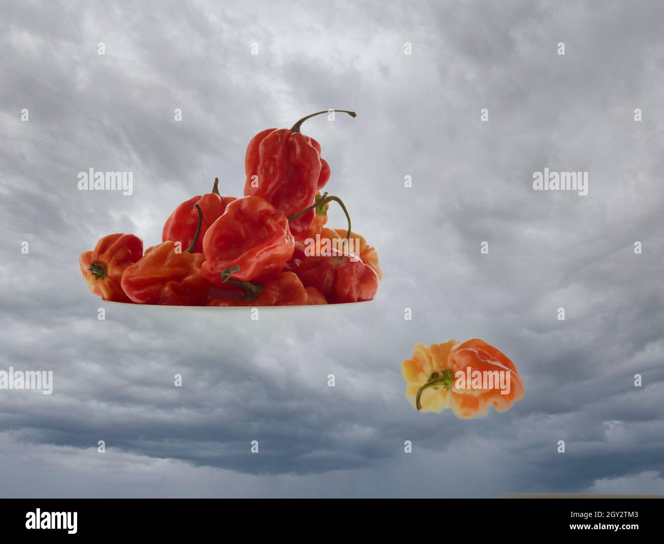 High resolution food ingredient still-life of Scotch Bonnet Peppers, on ...