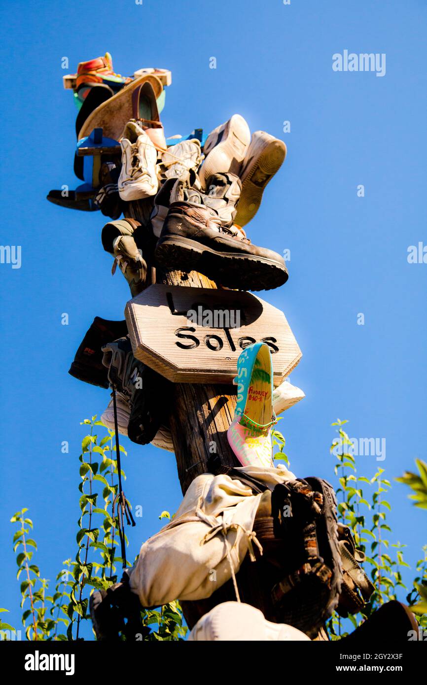 Pole with lost single shoes tacked onto it with a sign that says Lost ...