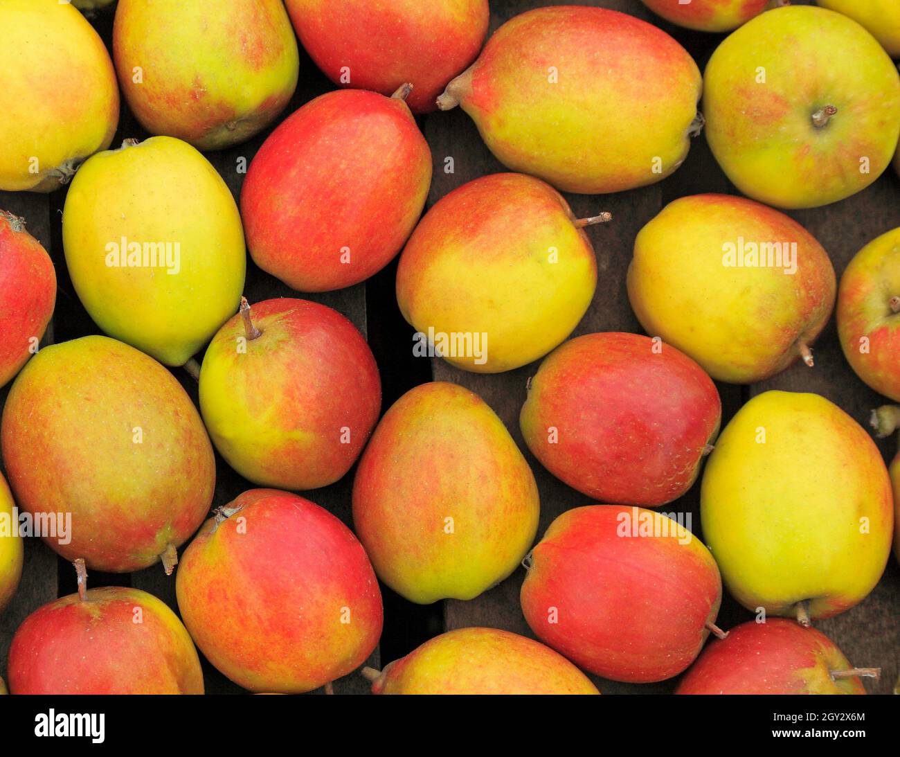 Apple oaken pin hi-res stock photography and images - Alamy