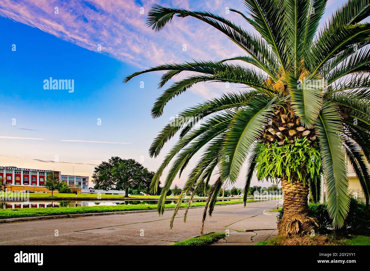 Louisiana bayou people hi-res stock photography and images - Alamy