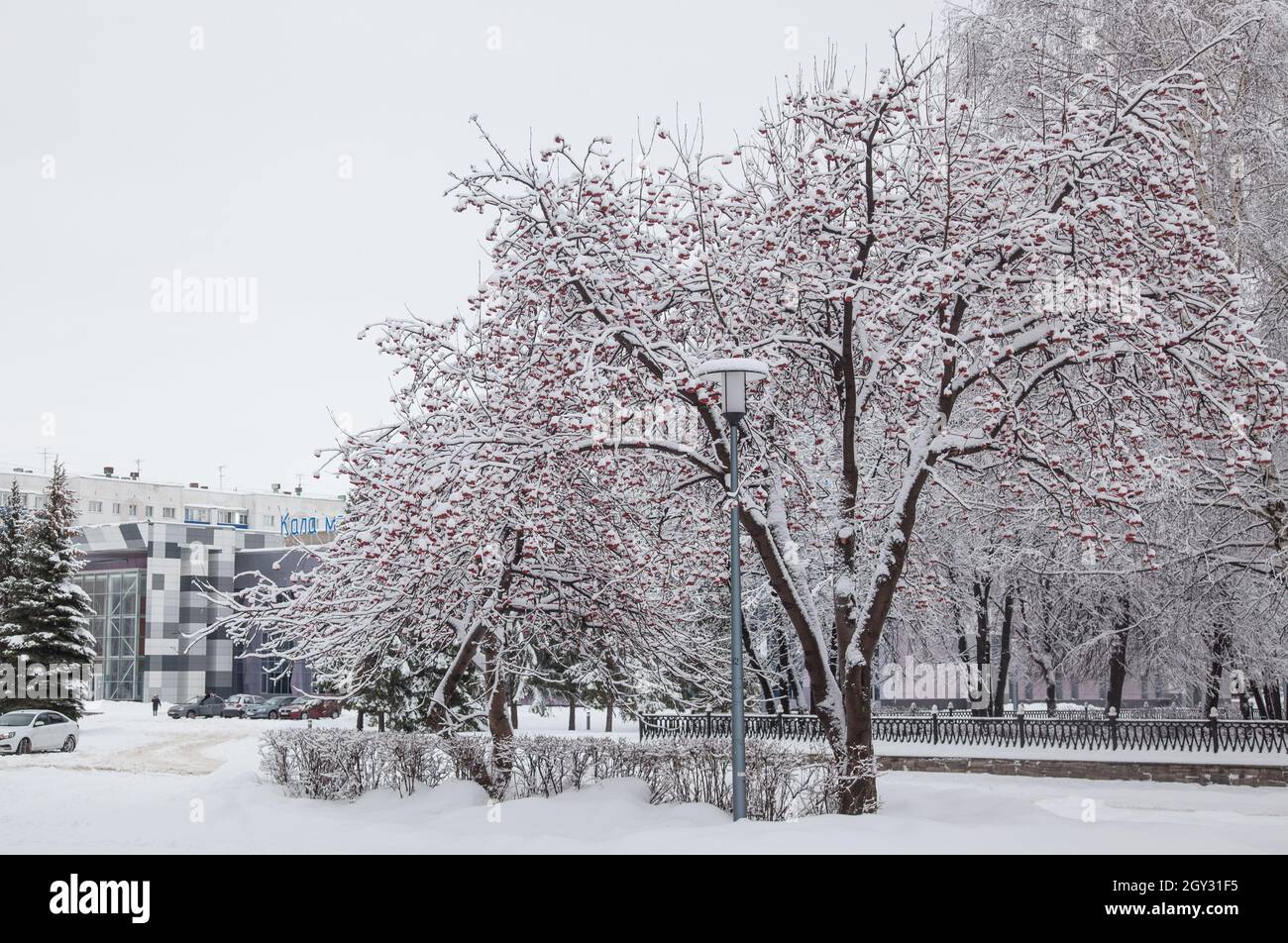 Russian winter nature hi-res stock photography and images - Alamy
