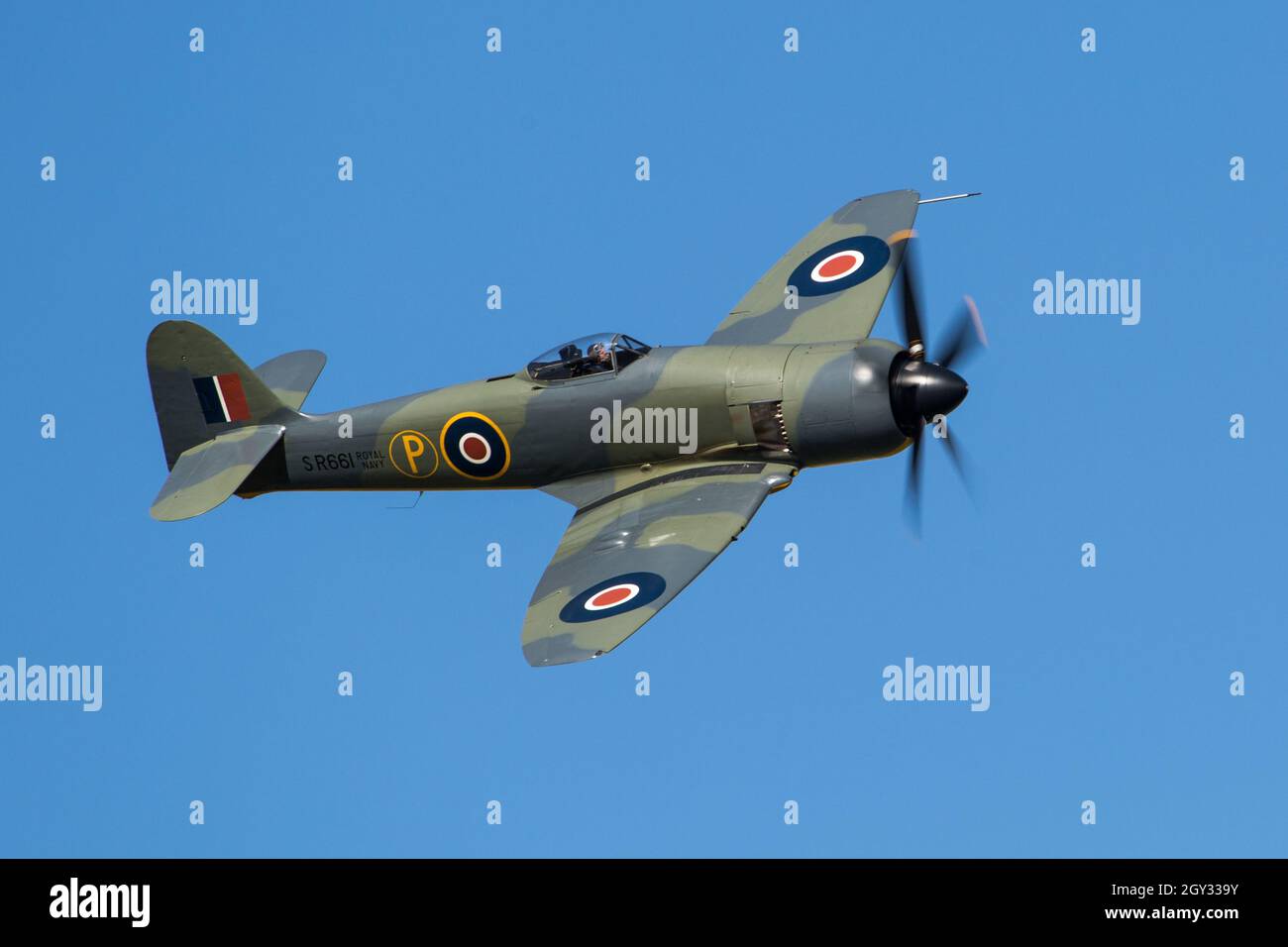 Hawker Sea Fury at Flying Legends Duxford Stock Photo - Alamy