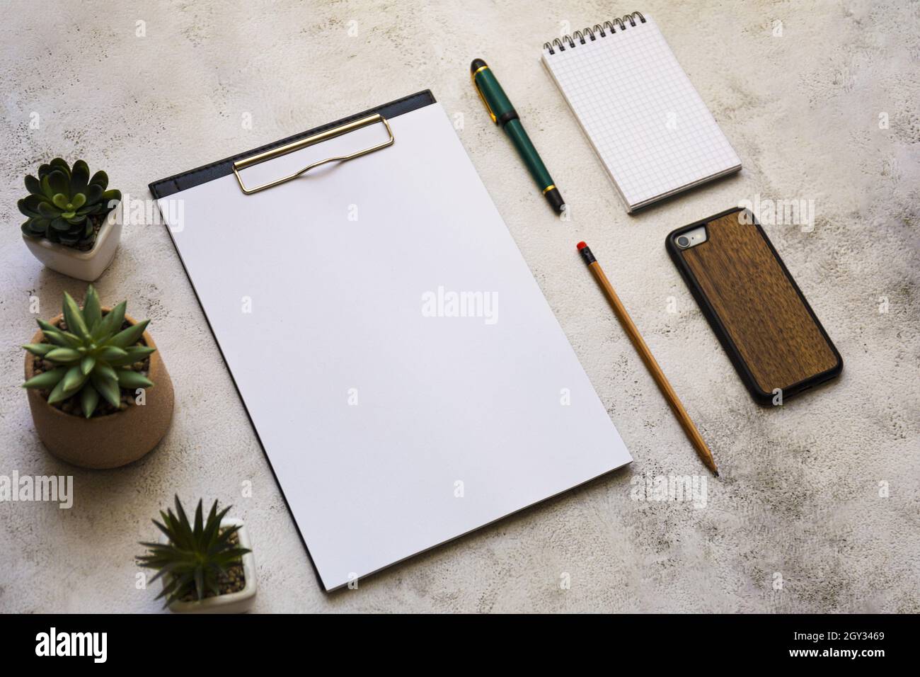 Flat lay shot of a clipboard, a notebook, pens and houseplants on a ...