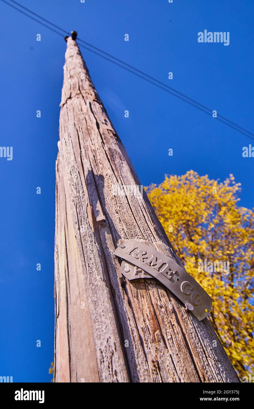 Telephone plant hi-res stock photography and images - Alamy