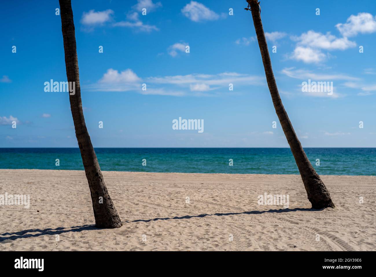 Two trees beach hi-res stock photography and images - Alamy