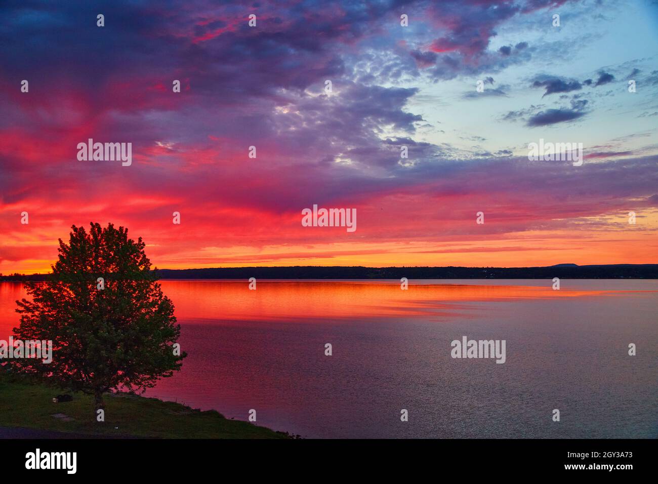 Orange tree coast hi-res stock photography and images - Alamy