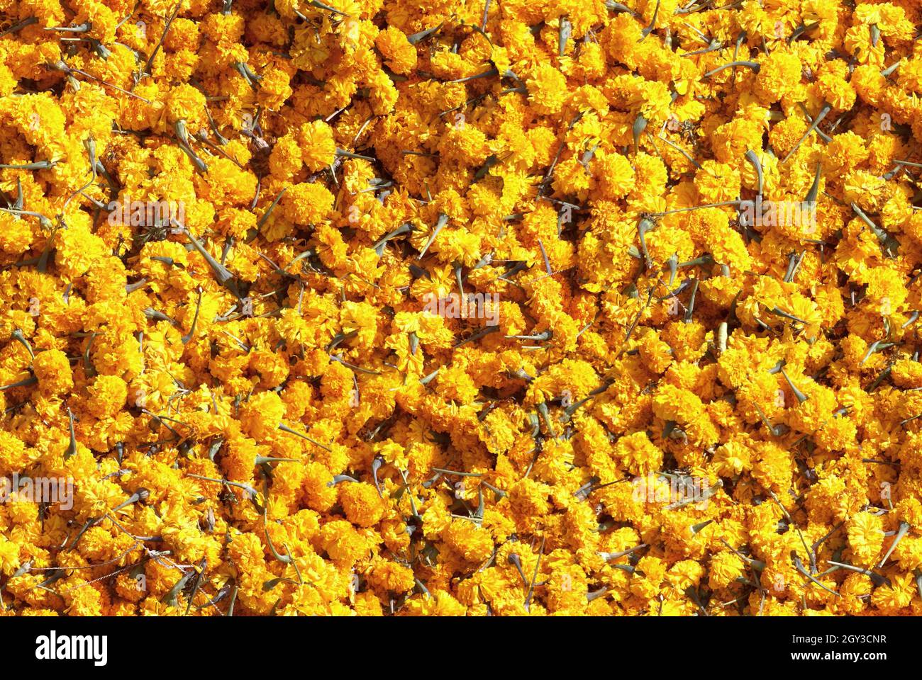 seamless texture background for design Stock Photo - Alamy