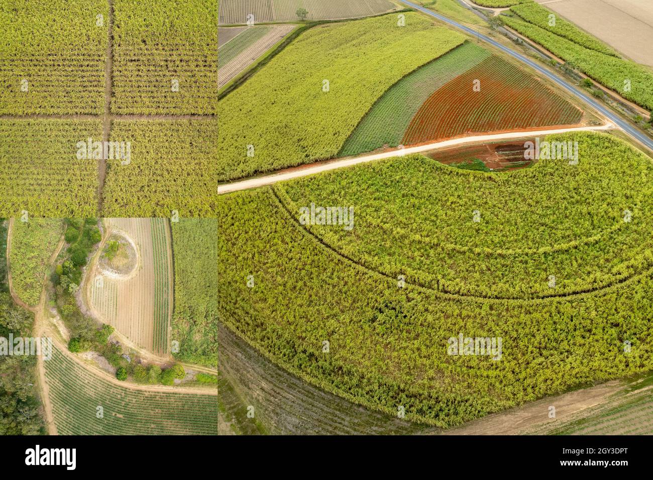 Collage of aerial landscape patterns showing lines created by roads and ...