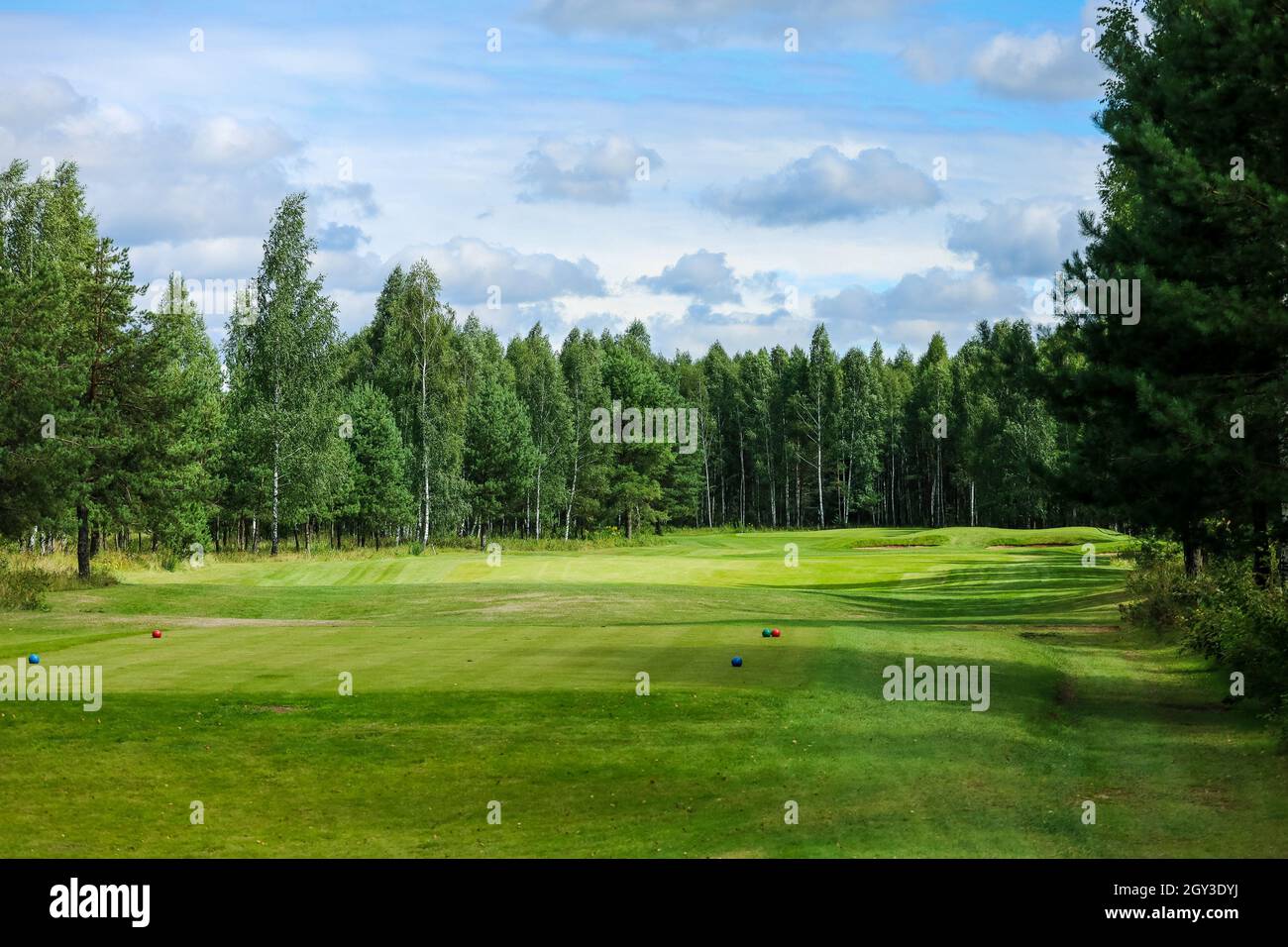 Golf course, landscape, green grass on the background of the forest and ...
