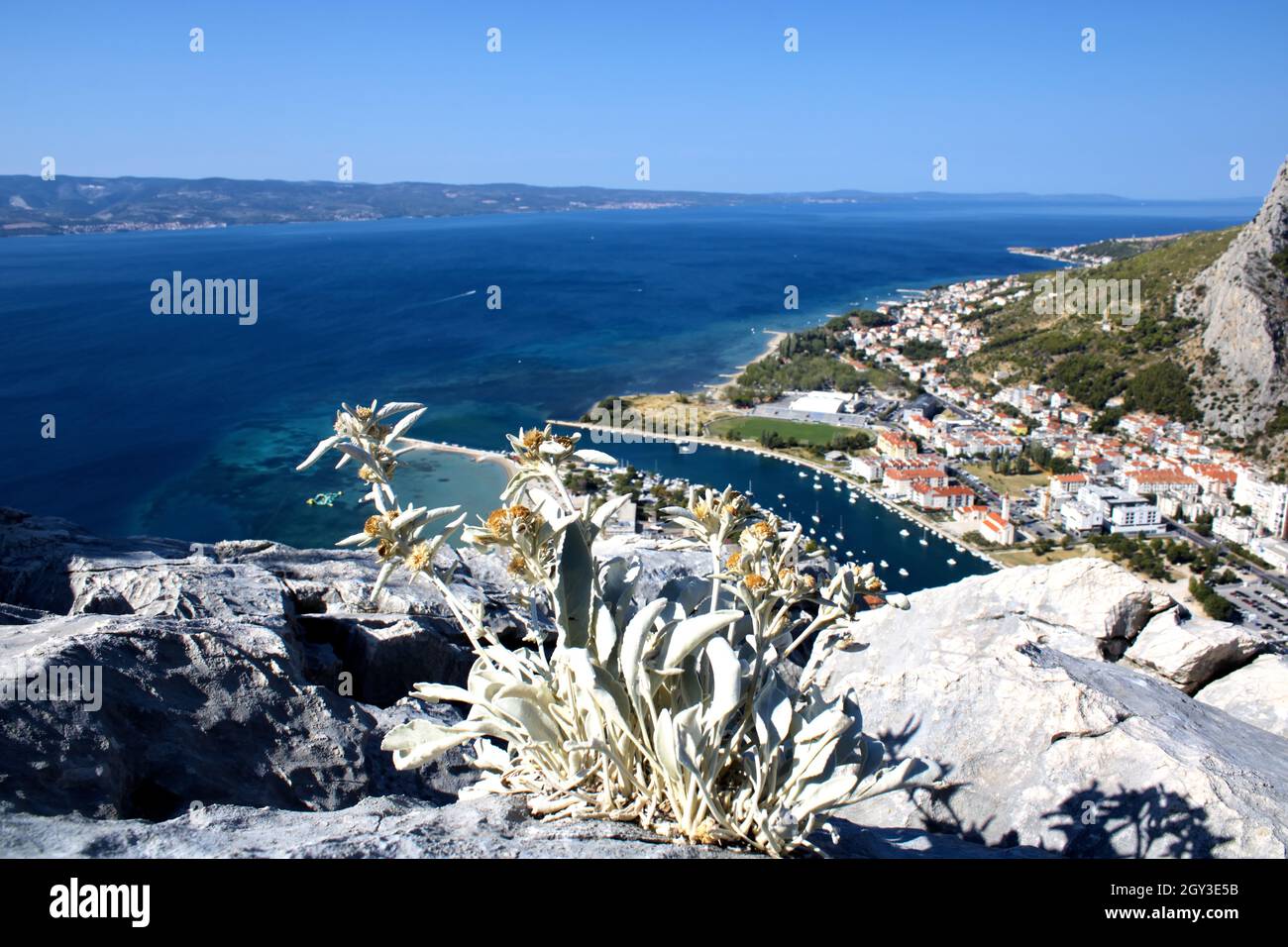 Aerial shot of a river flows to the sea, buildings, rocks and ...