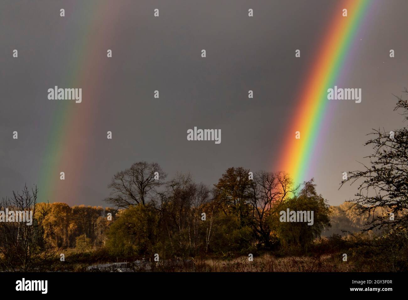 A picture of a double rainbow ending in a small copse of threes Stock ...