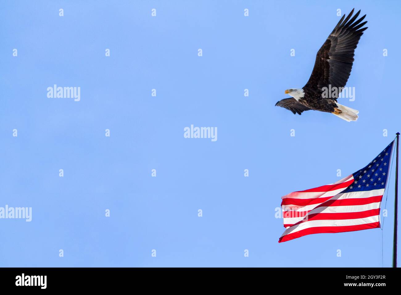American Eagle Flying Flag