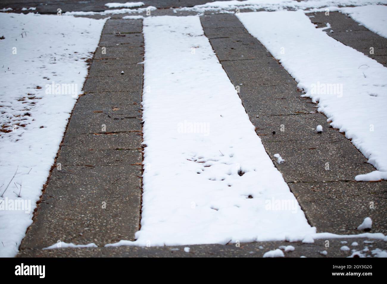 Salted driveway surrounded by patches of snow-covered lawn Stock Photo ...