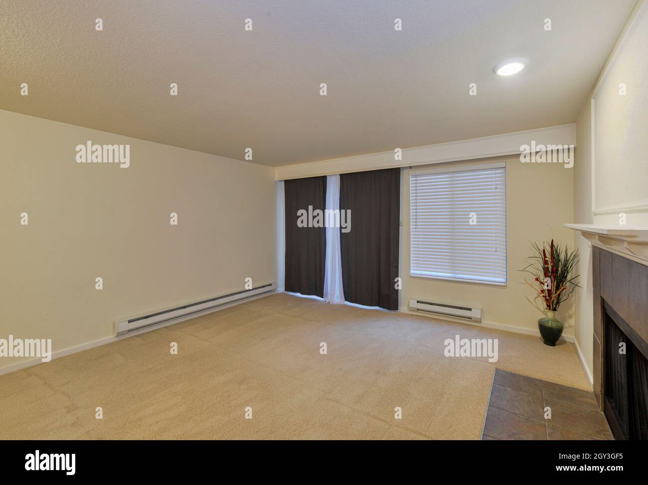 Modern residential empty living room interior Stock Photo - Alamy