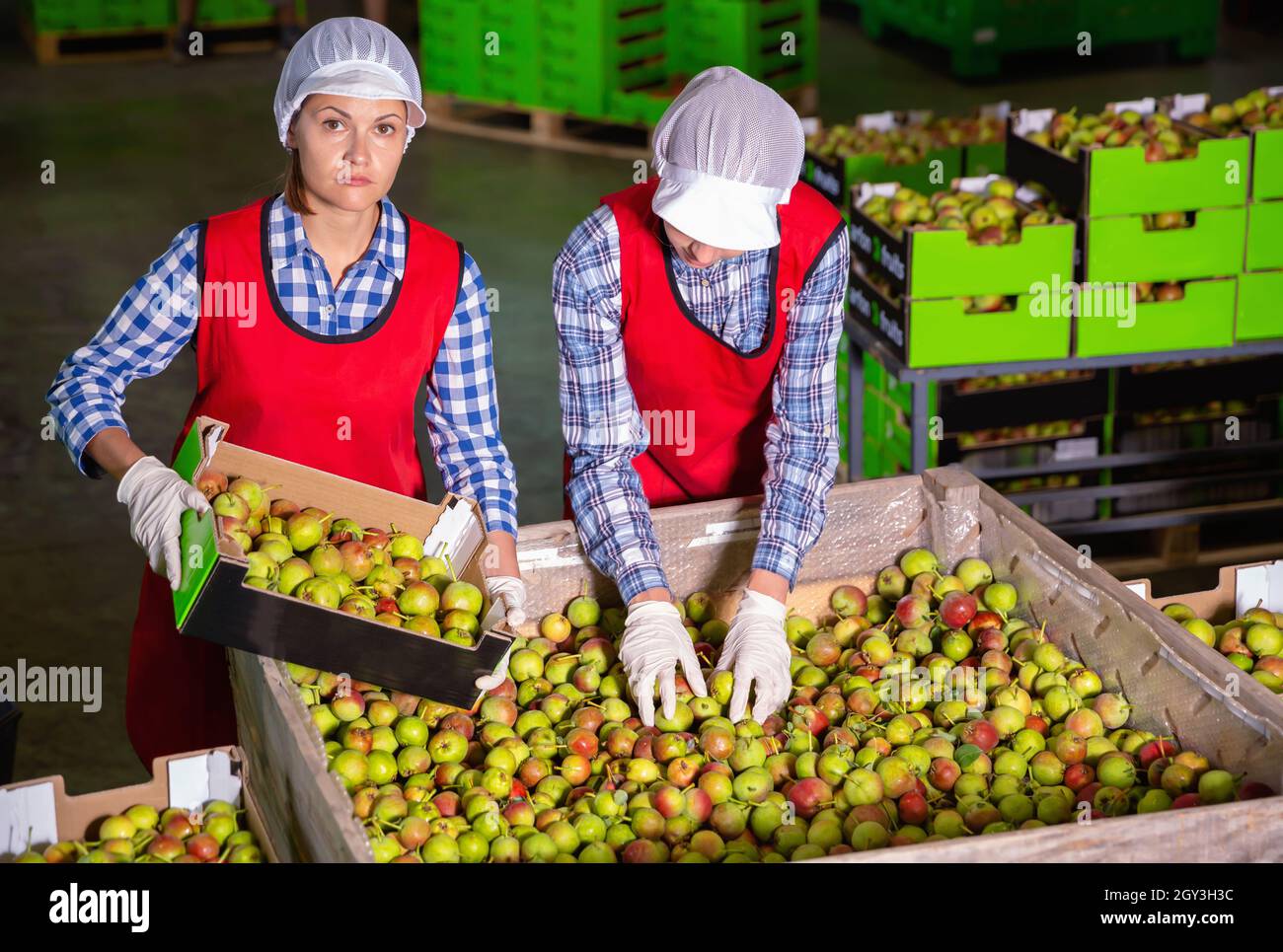 Storing Pears High Resolution Stock Photography and Images - Alamy