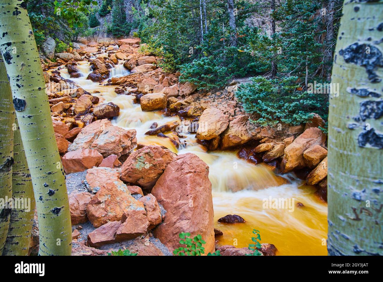Looking between aspen trees at cascading waterfalls between red rocks ...