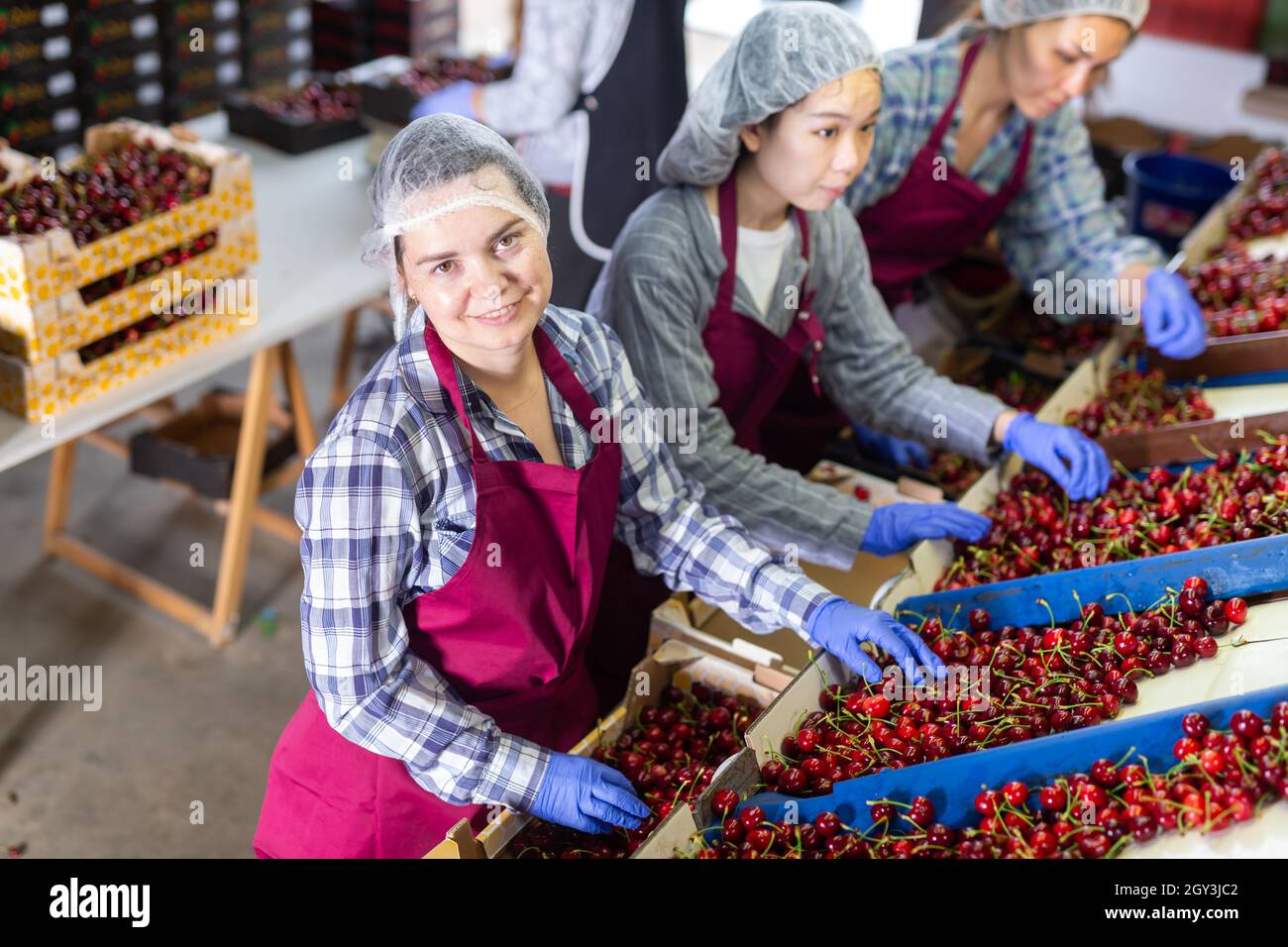 Ranch sorting hi-res stock photography and images - Alamy