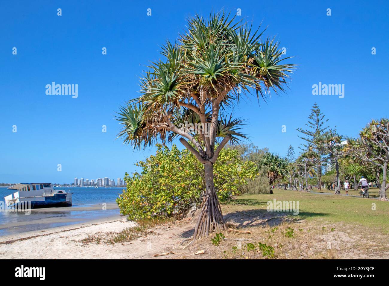 Foreshore at Labrador, Gold Coast Stock Photo - Alamy