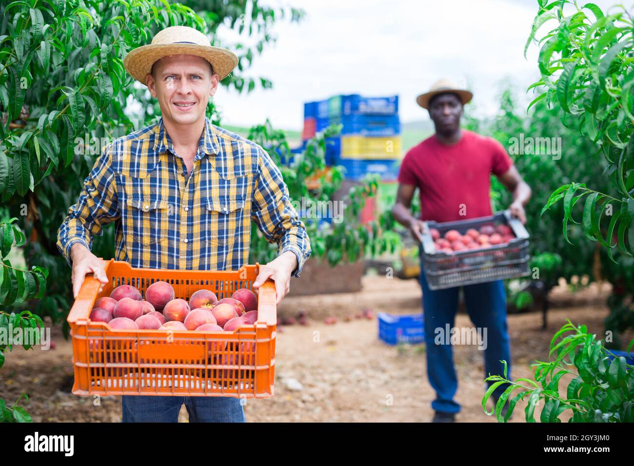 Worker carrying plastic crates hi-res stock photography and images - Alamy Worker carrying plastic crates hi-res stock photography and images - Alamy
