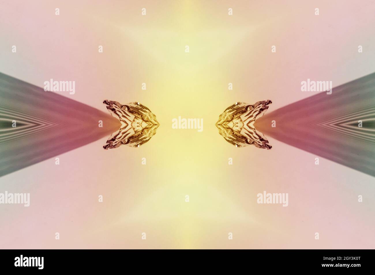 Abstract to show Opposite Forces Attract Each Other Stock Photo - Alamy