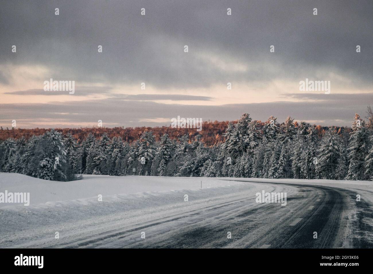 Grayscale shot of a flat landscape with forests and a road covered by ...