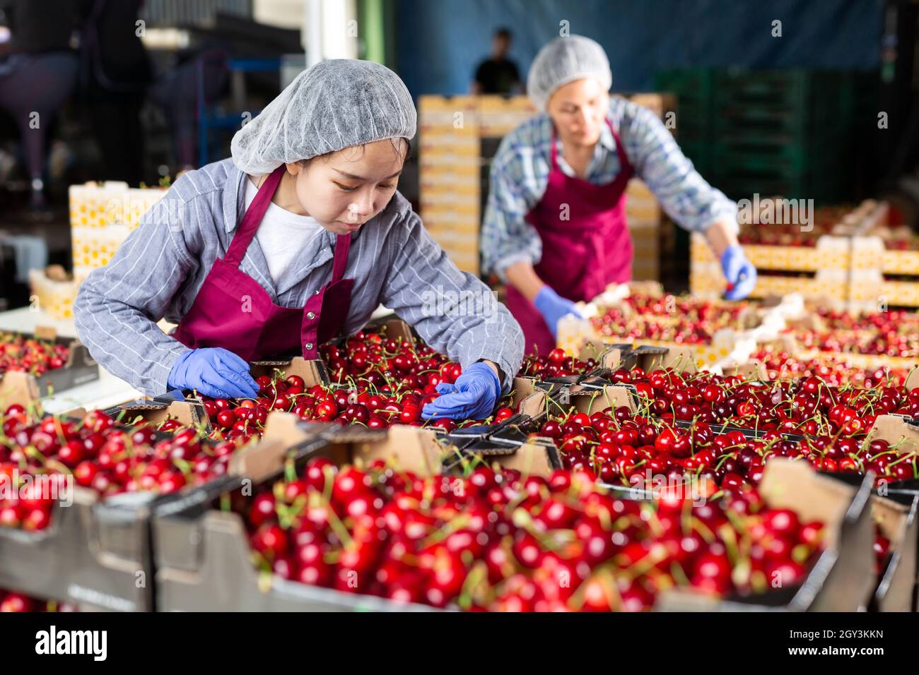 Positive woman working on fruit sorting line at warehouse, checking ...