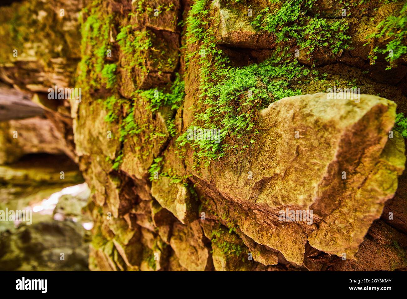 Mossy cave wall hi-res stock photography and images - Alamy
